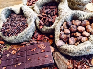 Organic Chocolate En Route to LiftYourWay - Health and Fitness Experts